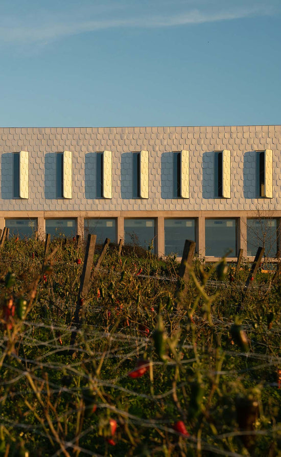 Alki I Designer and manufacturer of contemporary furniture in the ...