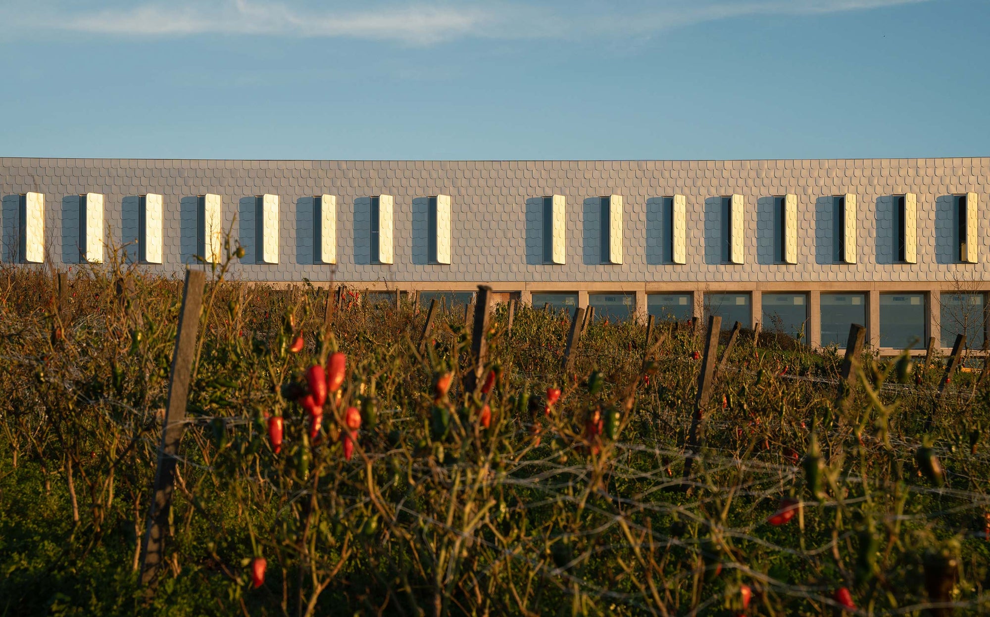 Alki I Designer and manufacturer of contemporary furniture in the ...