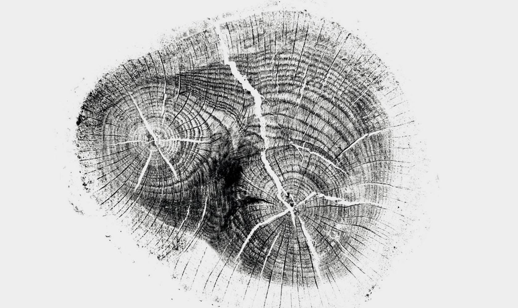 Table Emea – Alki Fr